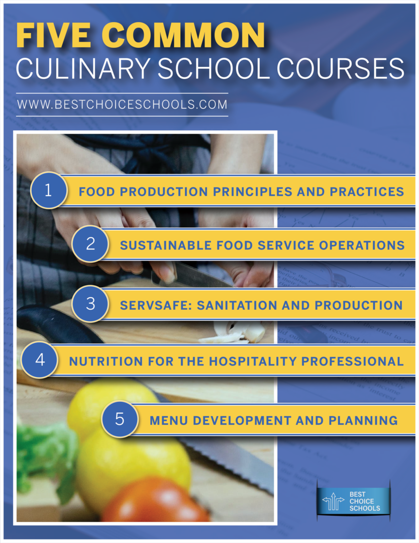 5 Common Courses in Culinary School - Best Choice Schools
