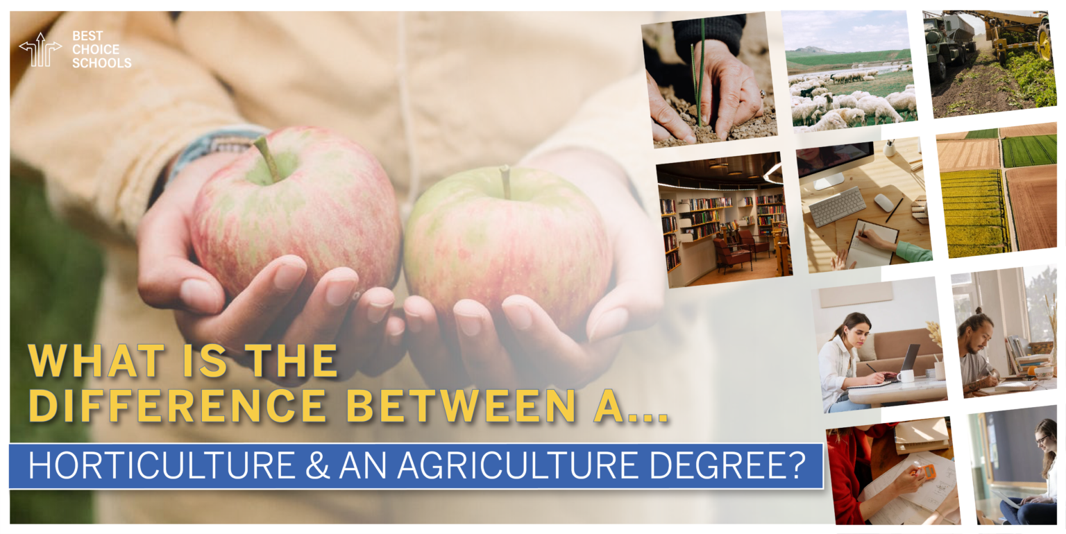 What is the Difference Between a Horticulture Degree and an Agriculture ...