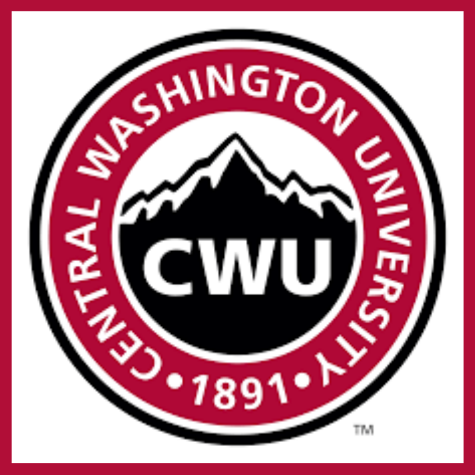 The 20 Best Undergraduate Schools for Screenwriting Degrees